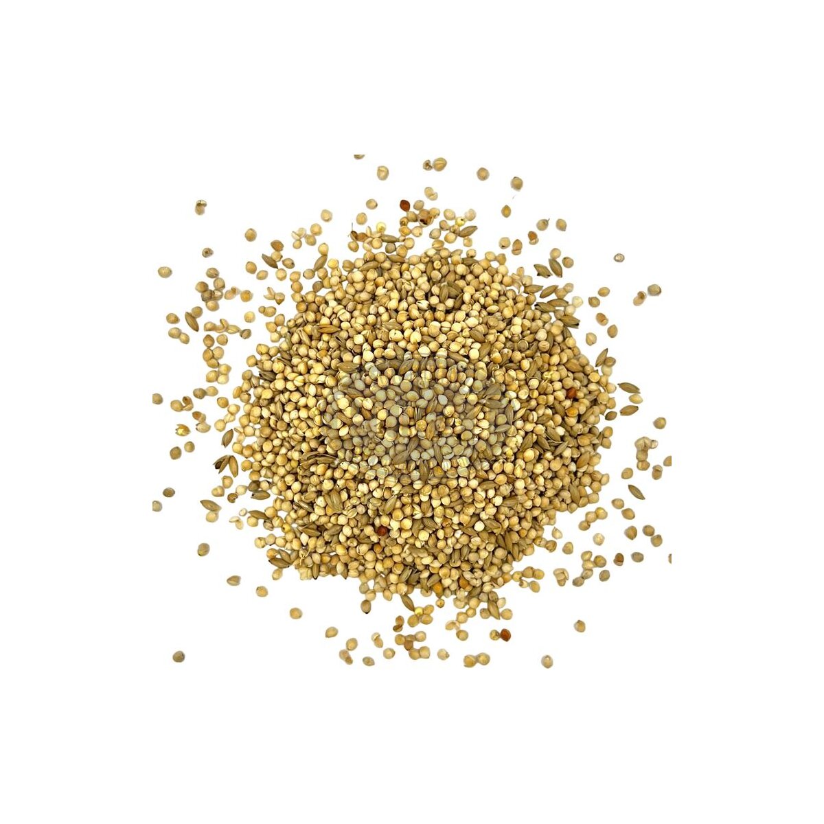Germix Exoten (Keimfutter Exoten) 4kg, 25,00